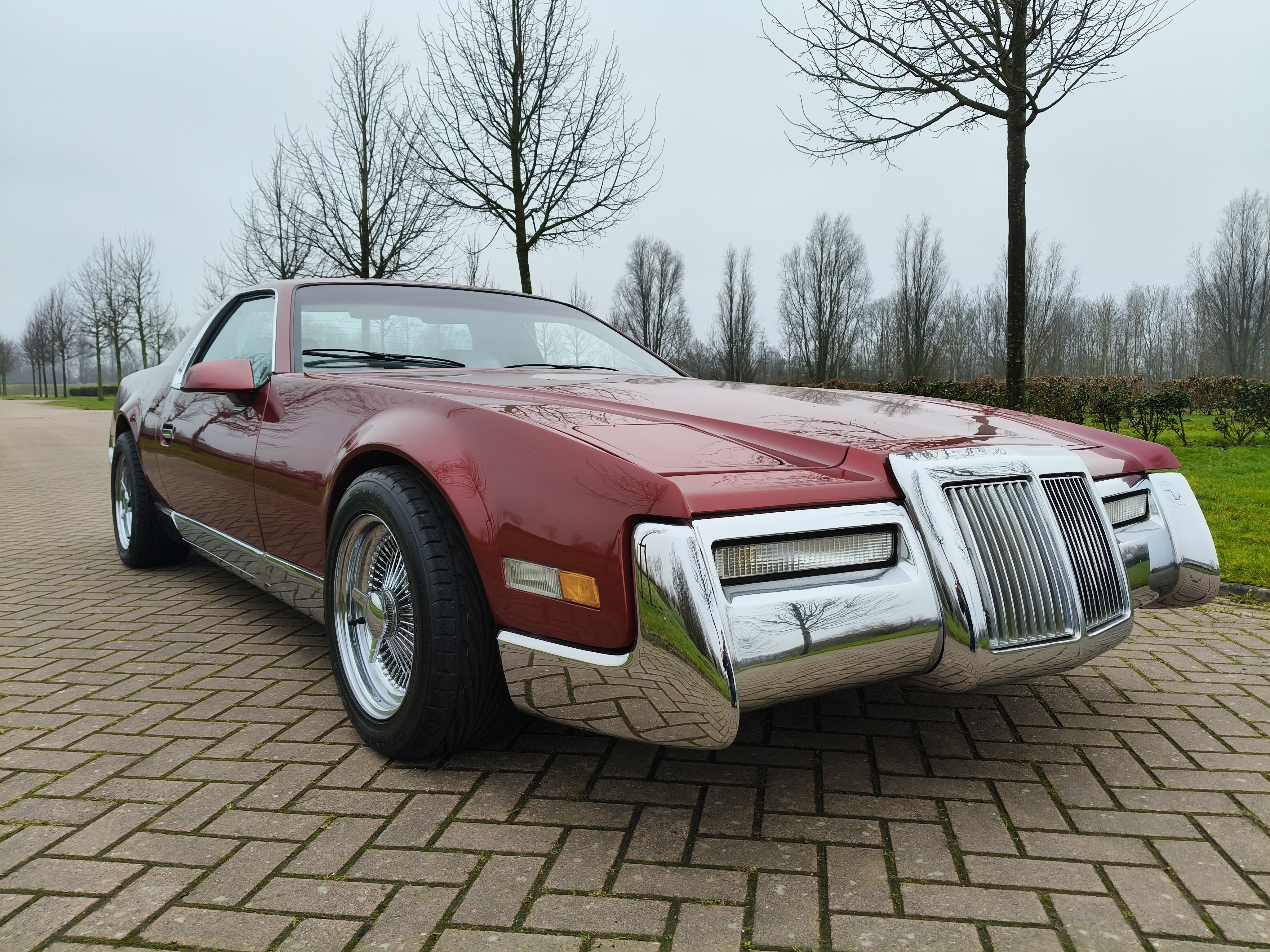 1988 Zimmer Quicksilver for sale by auction in Appingedam, Netherlands