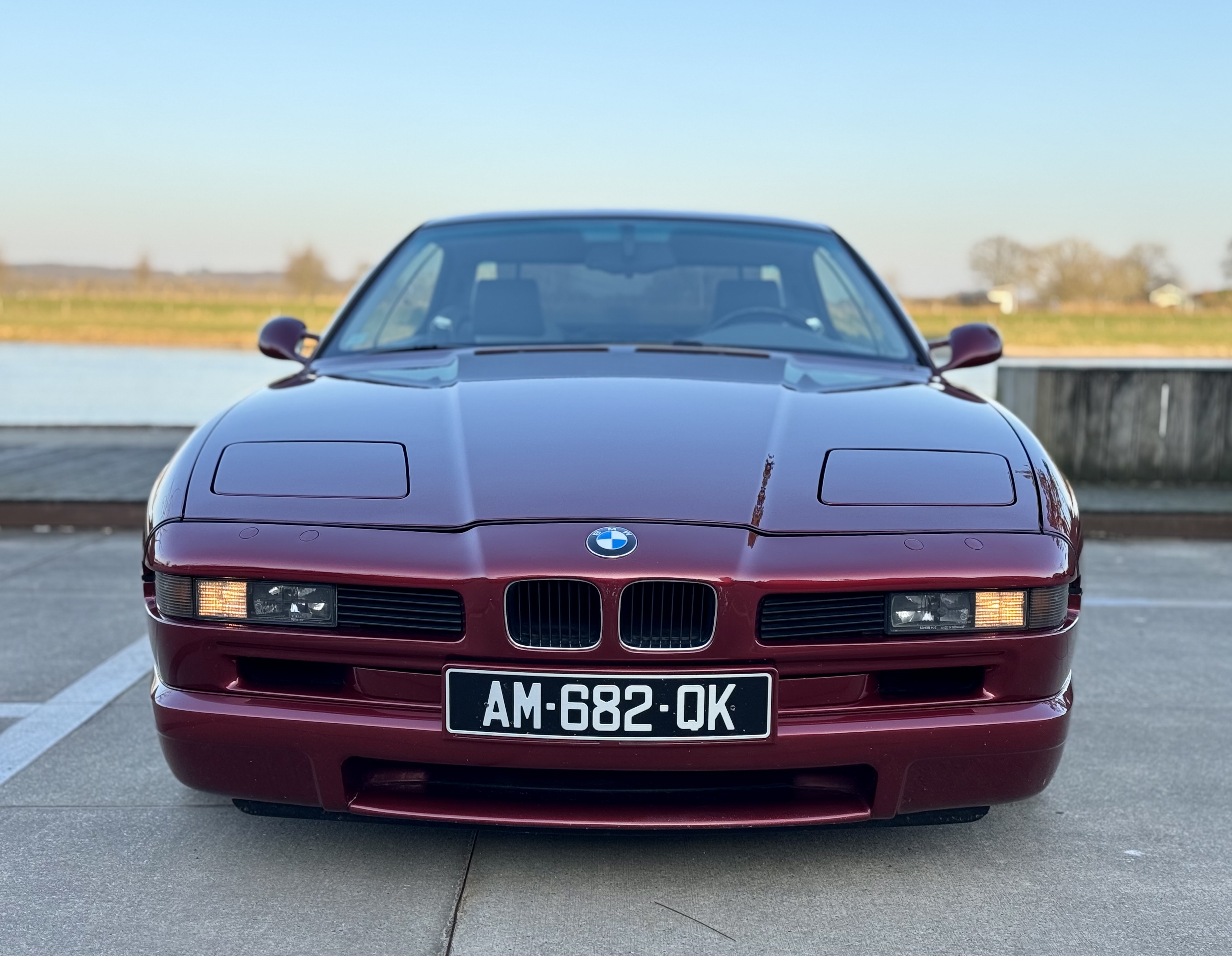1993 BMW (E31) 850 CSi for sale by auction in Nijmegen, Netherlands