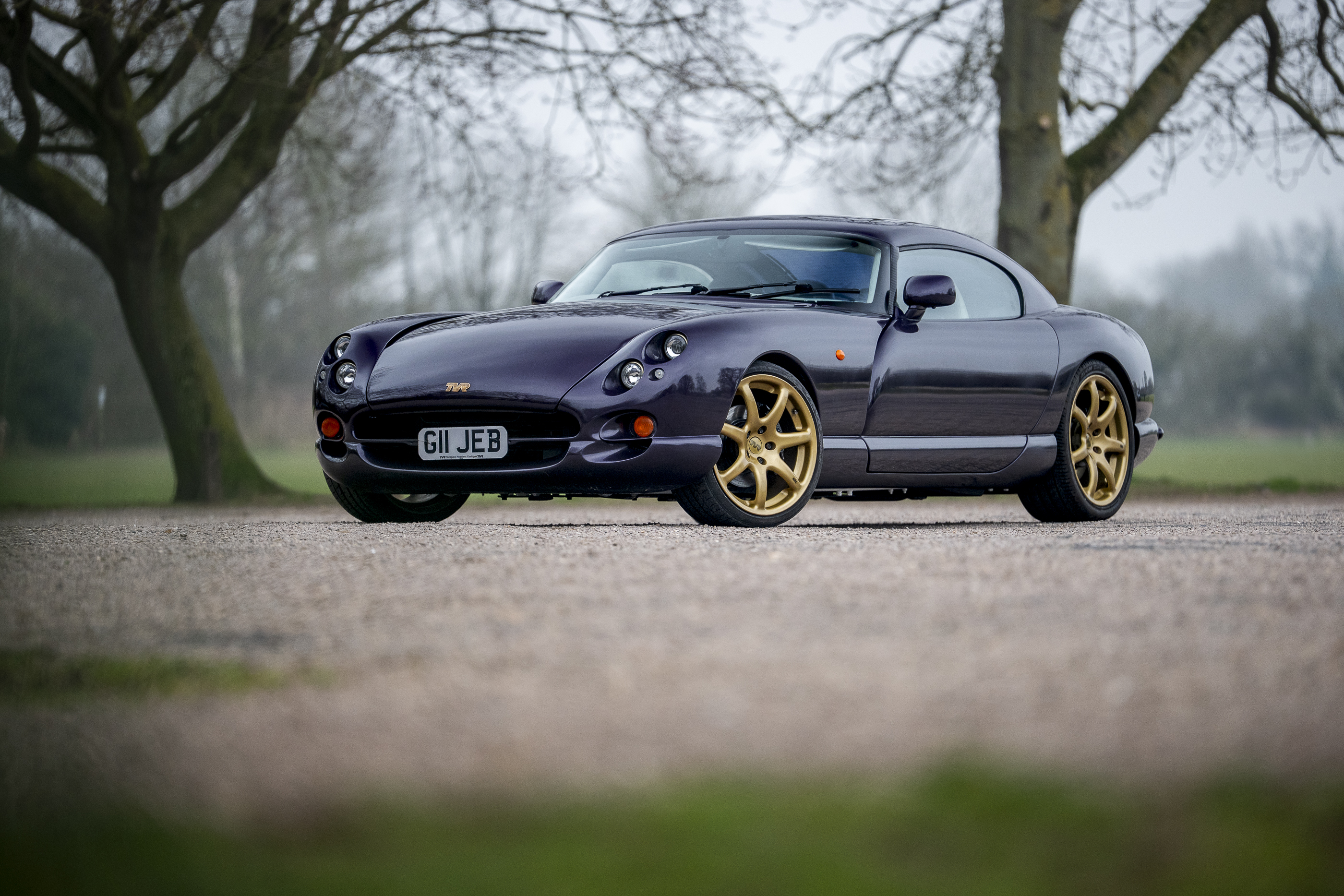 1997 TVR Cerbera for sale by auction in Leicestershire, United Kingdom