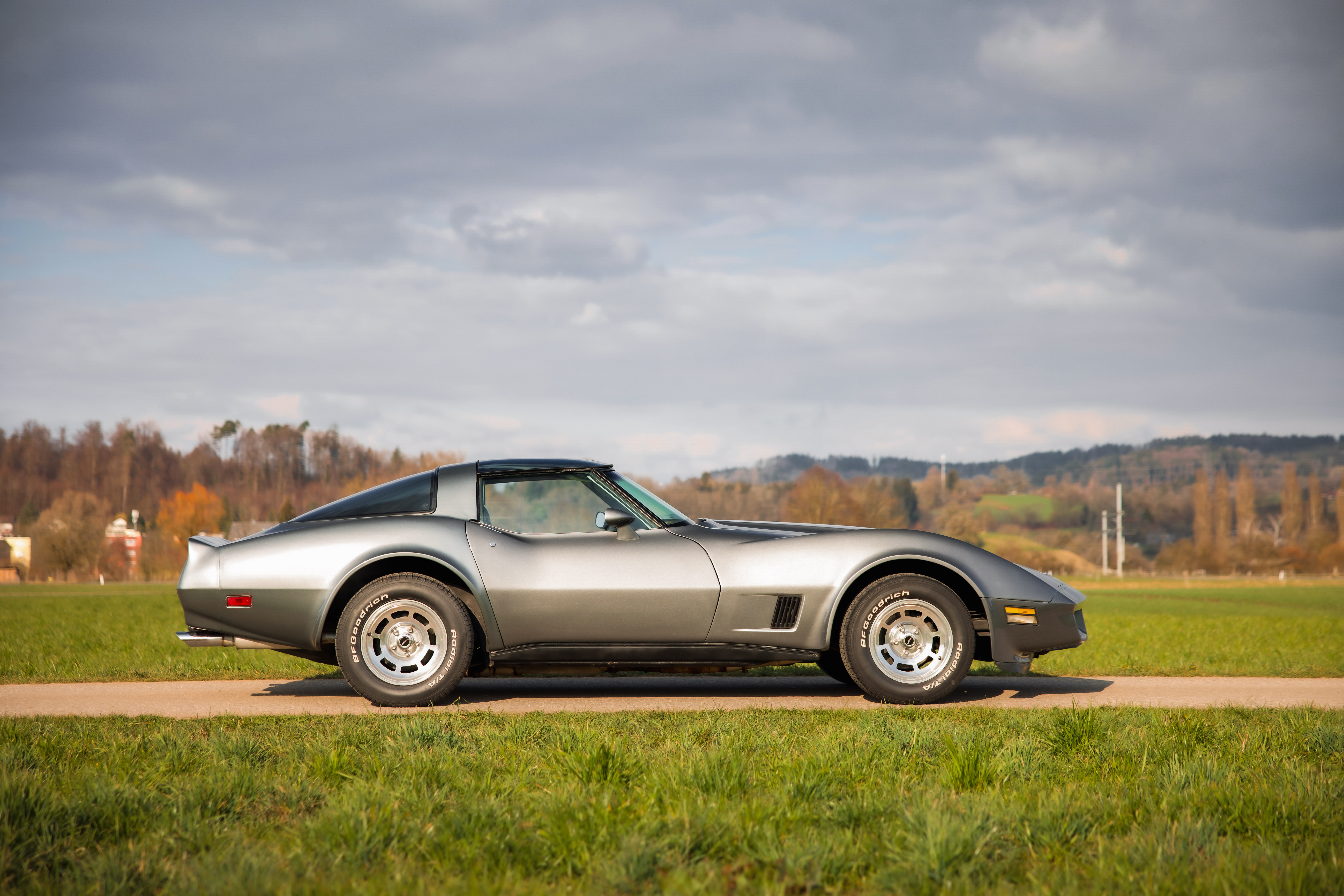 1981 Chevrolet Corvette Stingray (C3) for sale by auction in Pfäffikon, Switzerland