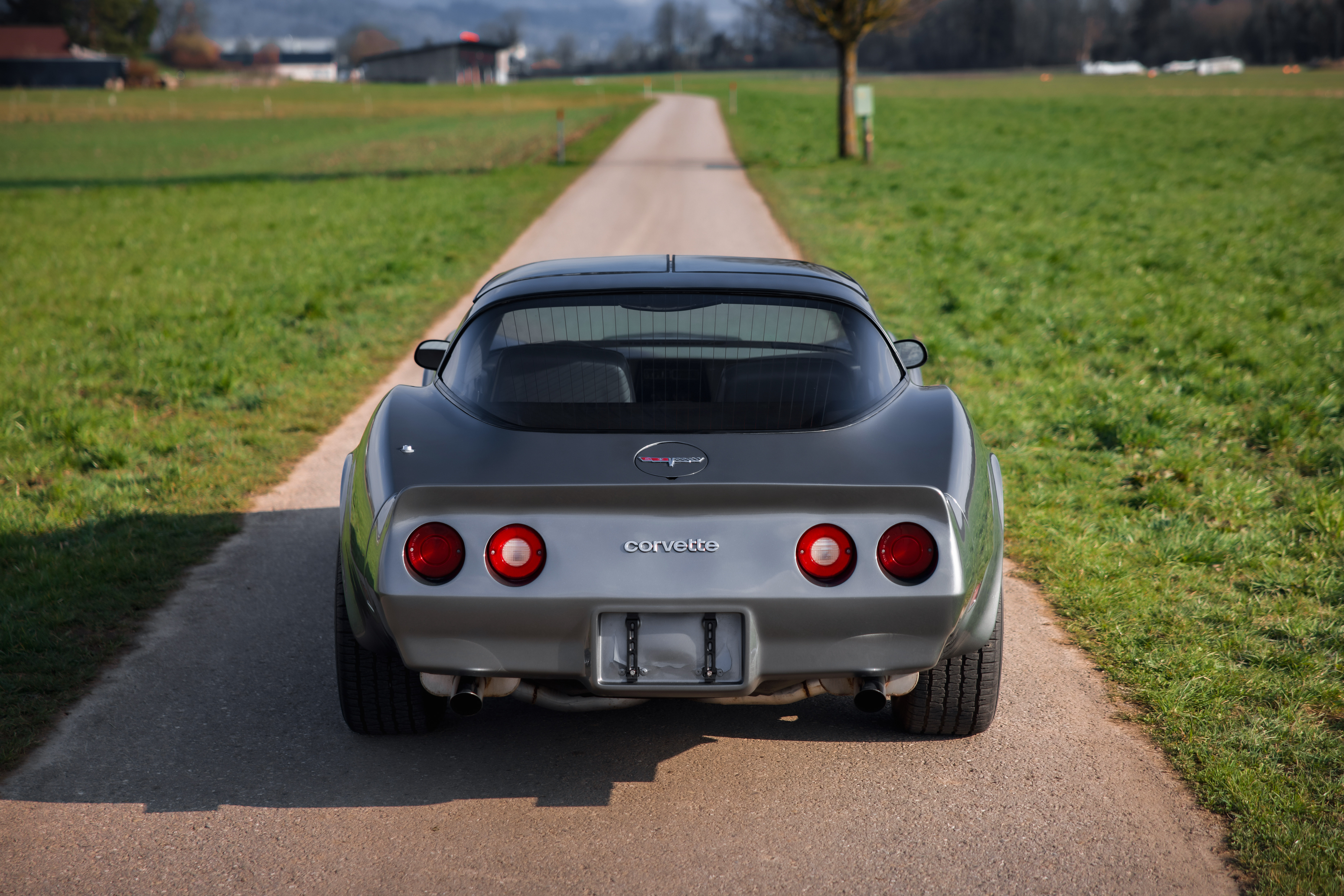 1981 Chevrolet Corvette Stingray (C3) for sale by auction in Pfäffikon, Switzerland