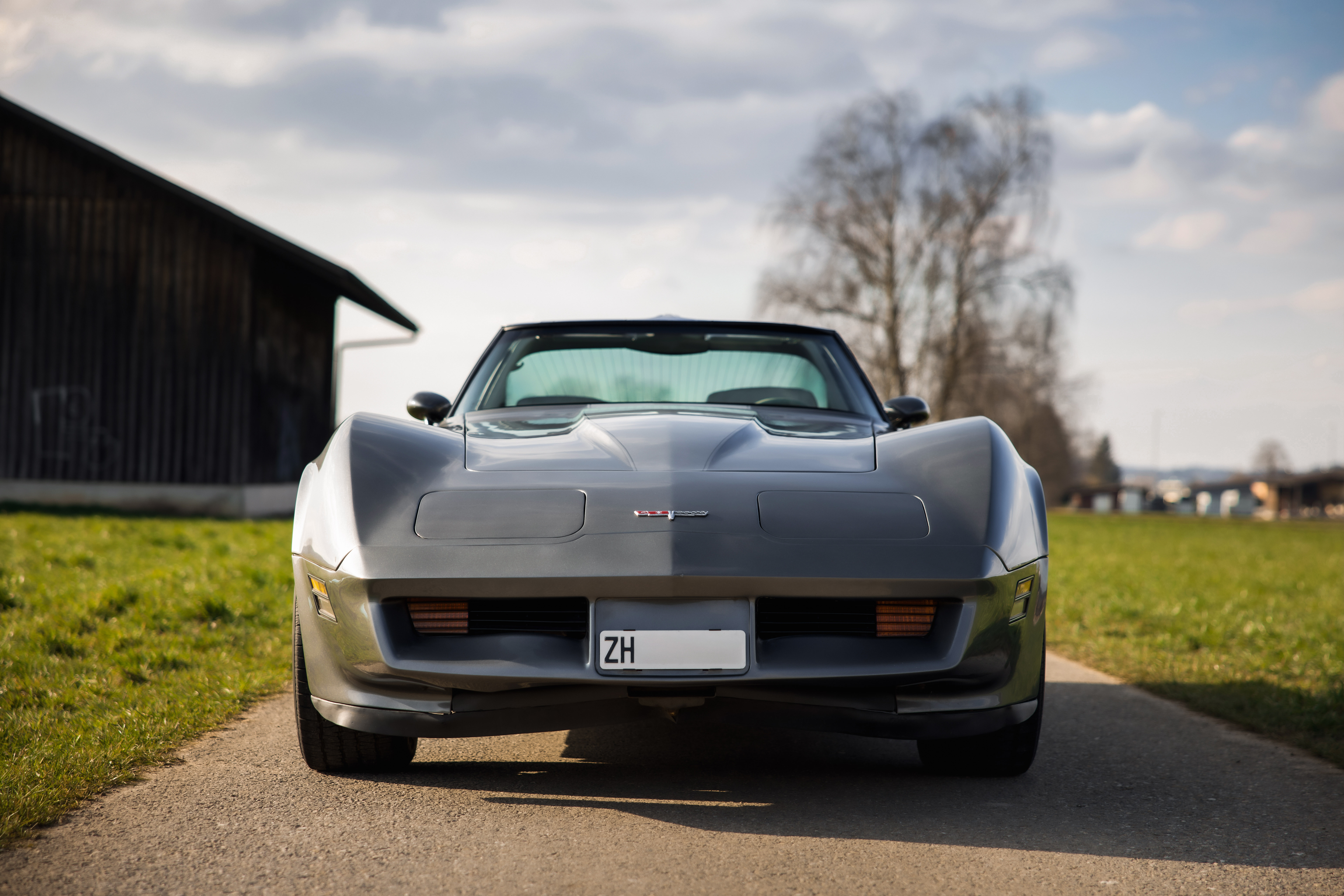 1981 Chevrolet Corvette Stingray (C3) for sale by auction in Pfäffikon, Switzerland