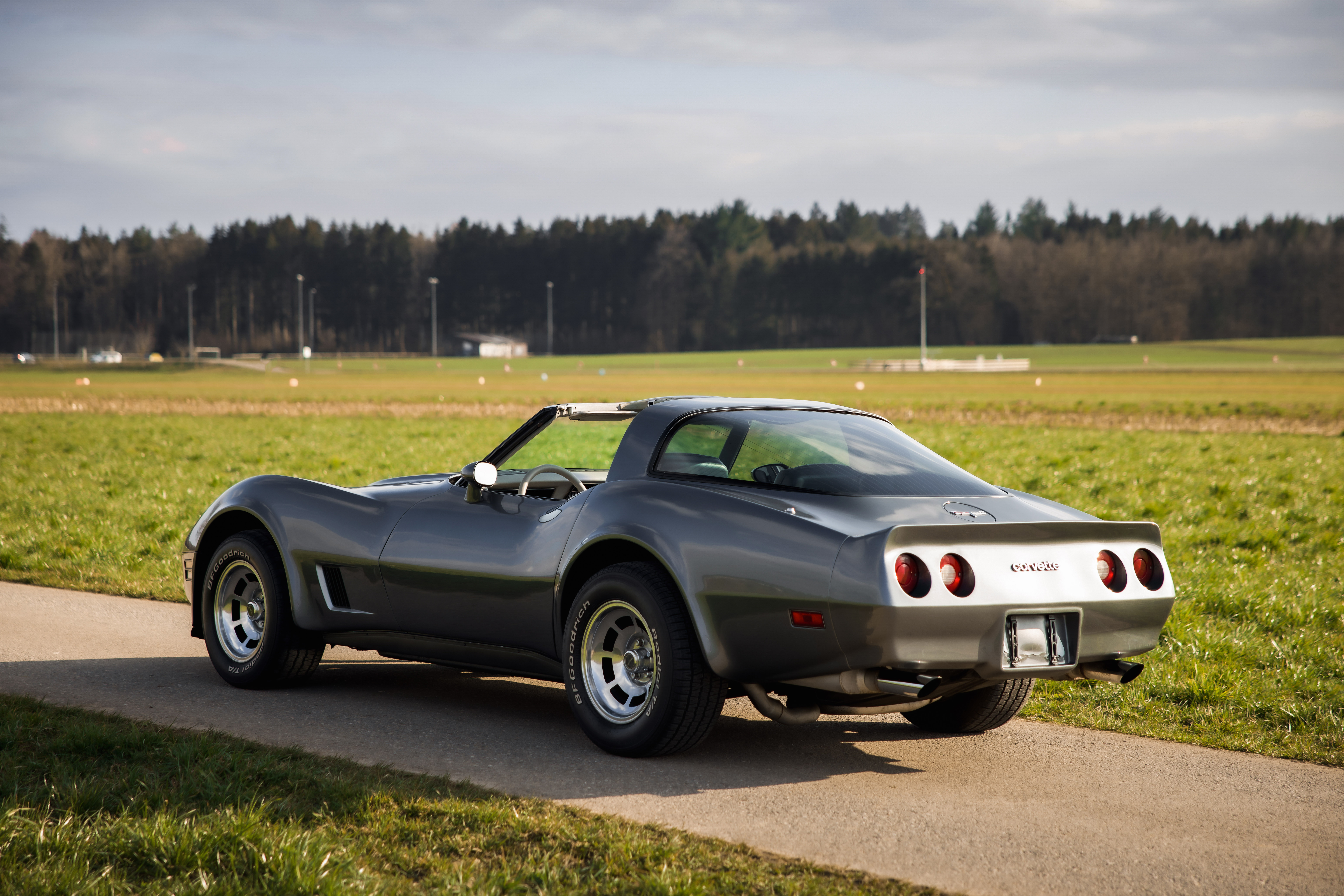1981 Chevrolet Corvette Stingray (C3) for sale by auction in Pfäffikon, Switzerland