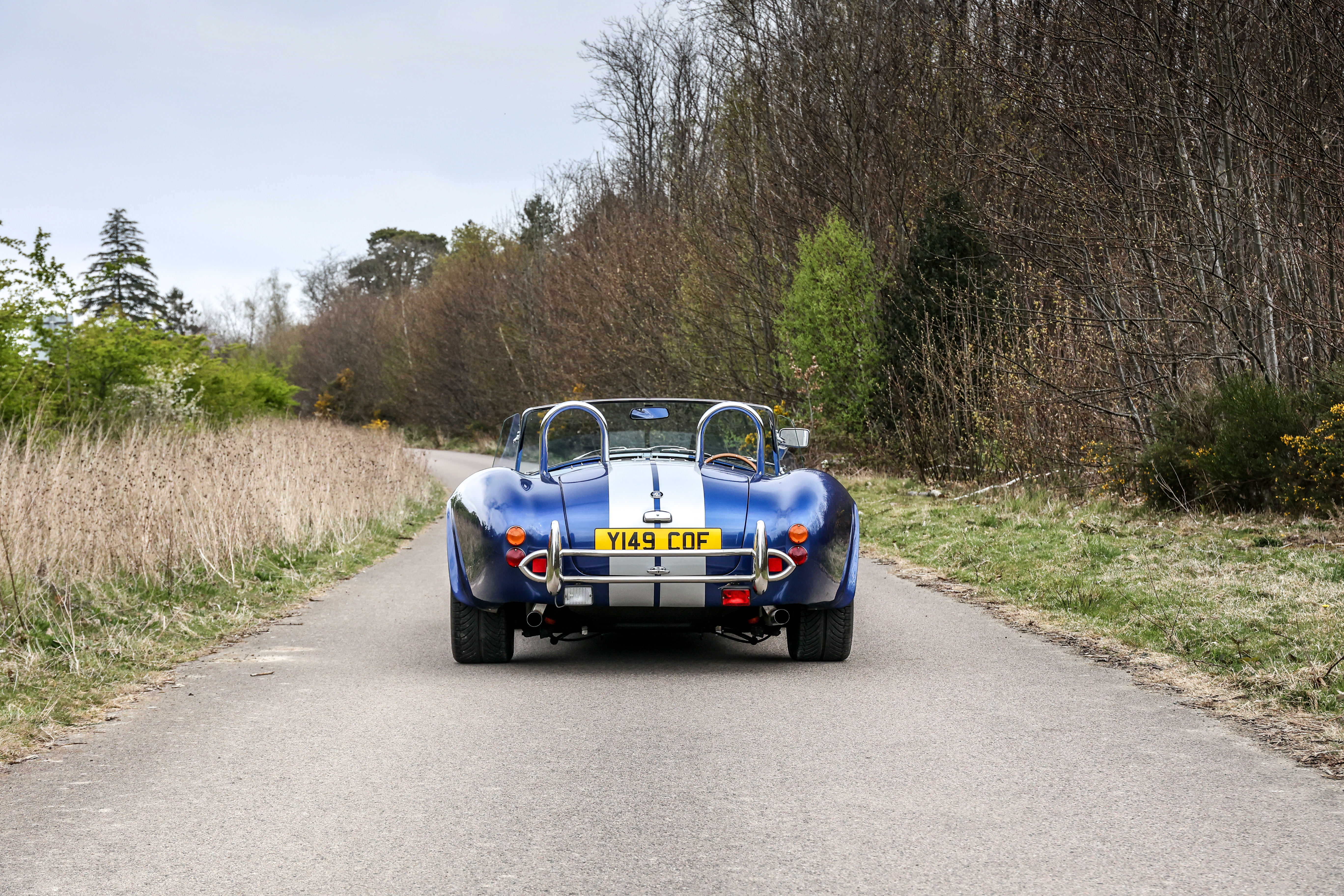 2001 AC Cobra Mk IV 'Carbon Road Series' for sale by auction in ...