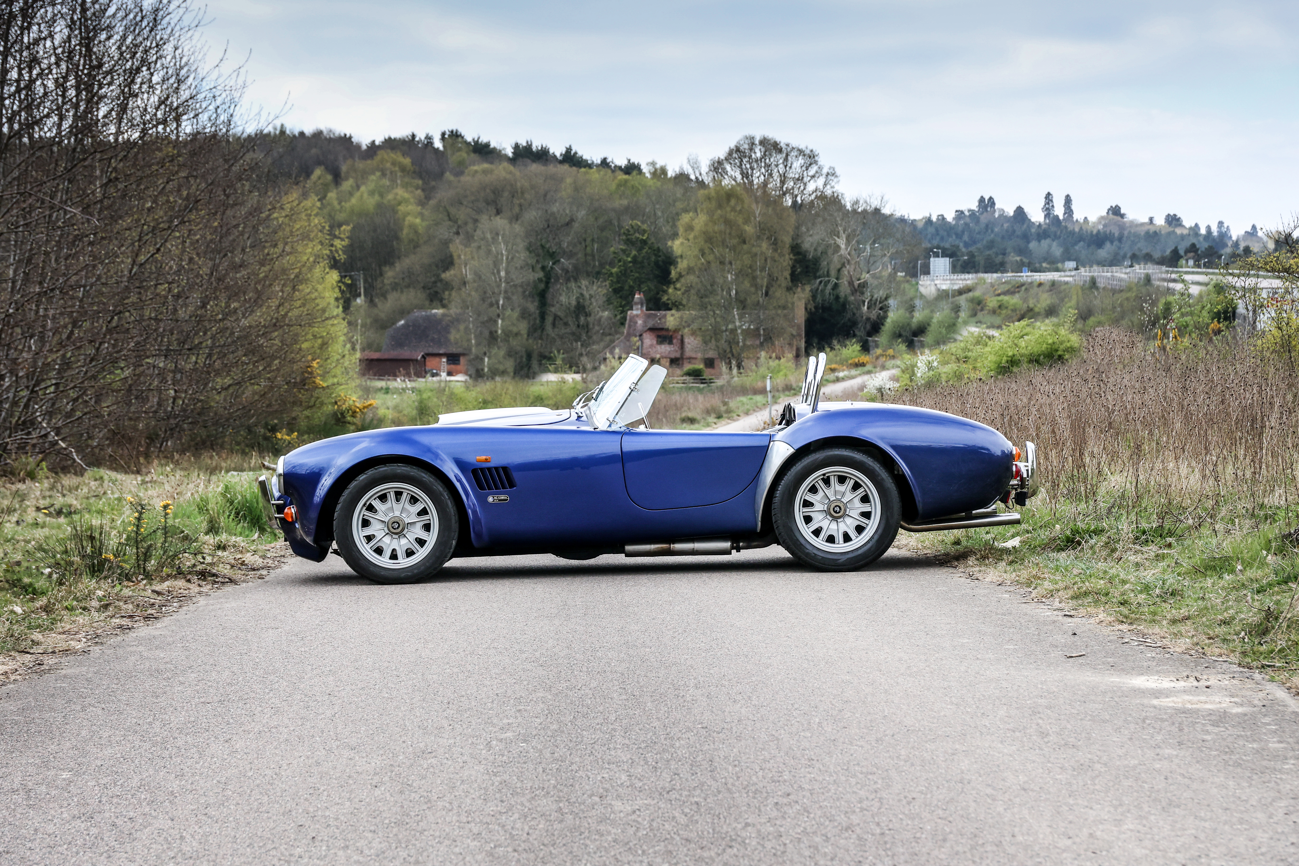 2001 AC Cobra Mk IV 'Carbon Road Series' for sale by auction in ...