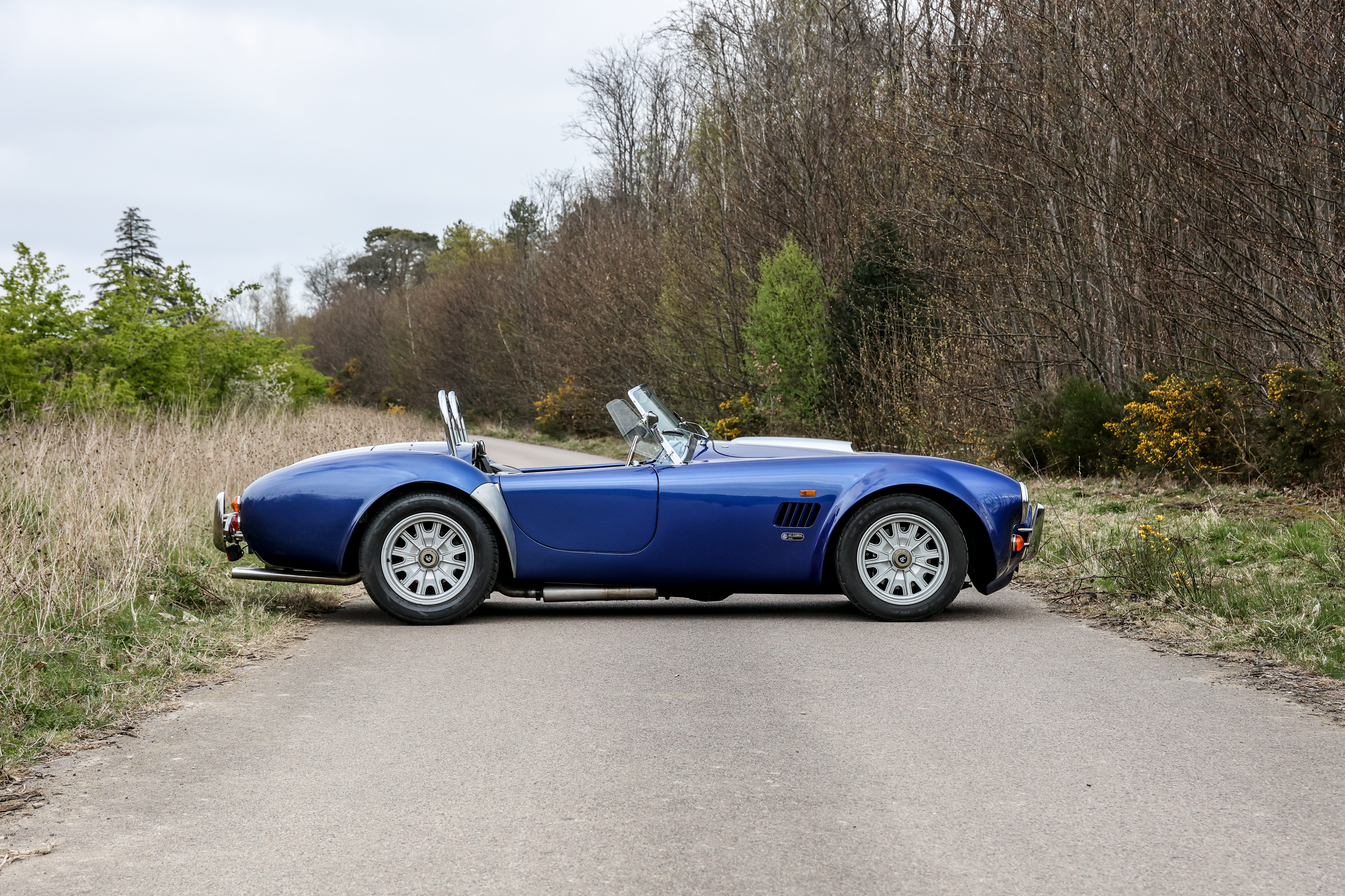 2001 AC Cobra Mk IV 'Carbon Road Series' for sale by auction in ...