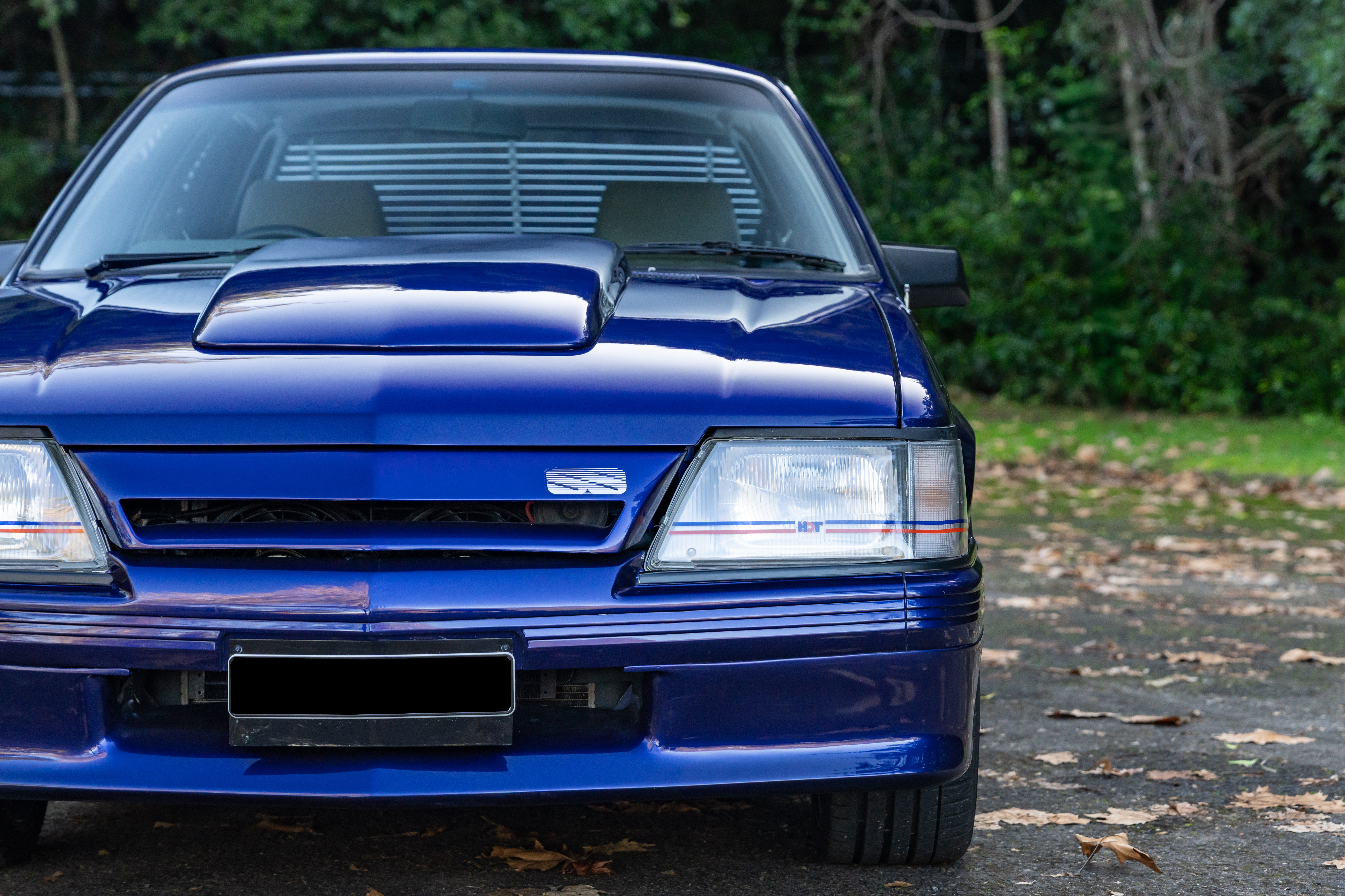 1985 Holden Commodore VK - SS Group A Group 3 Tribute for sale by ...