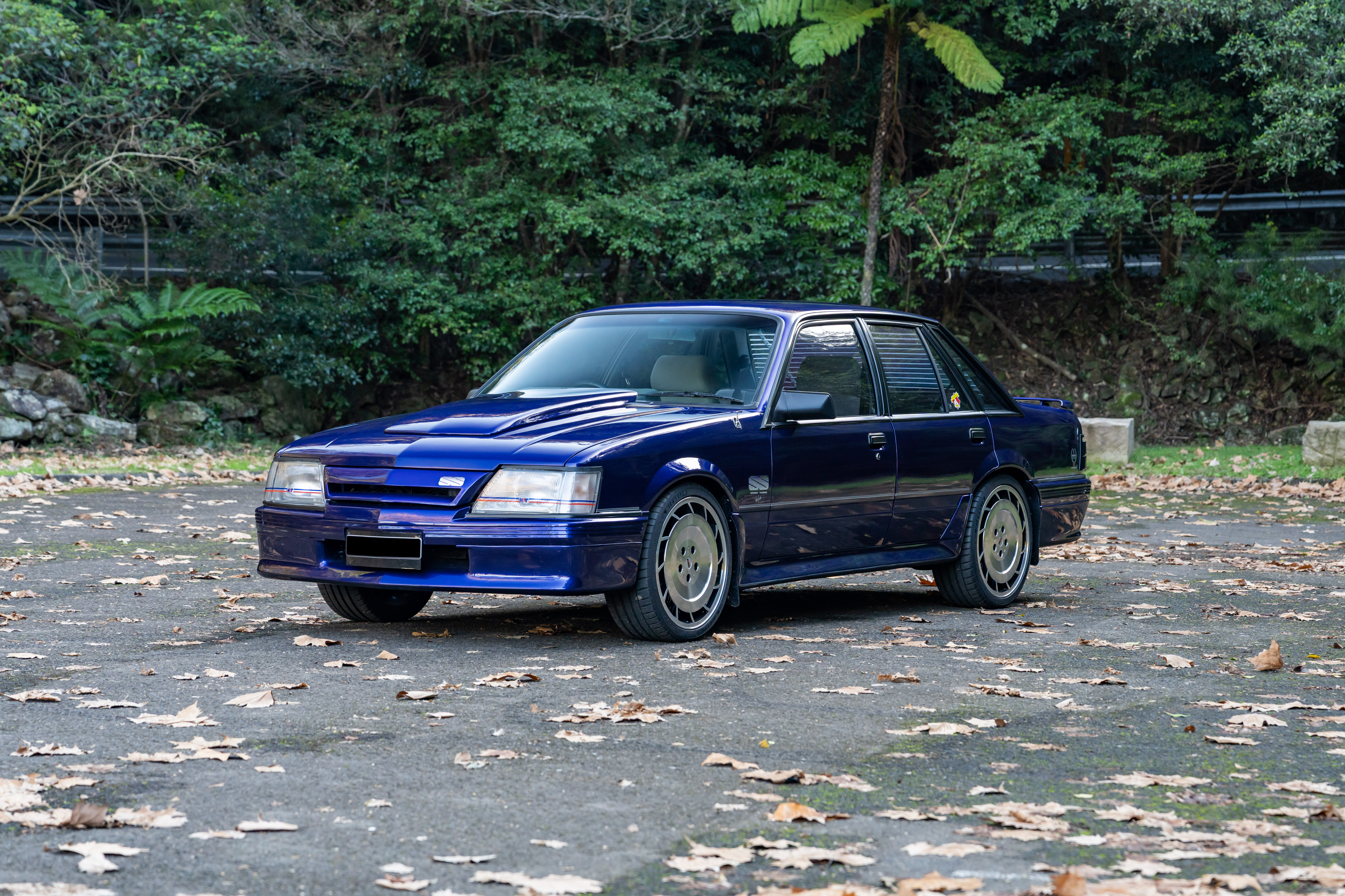 1985 Holden Commodore VK - SS Group A Group 3 Tribute for sale by ...