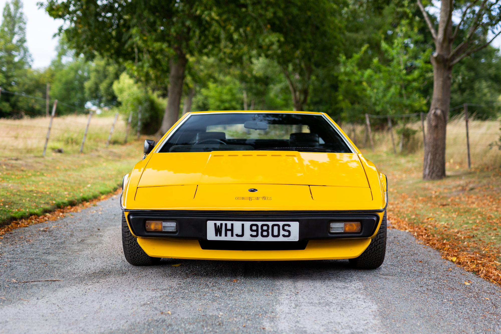 1978 LOTUS ESPRIT S1 for sale by auction in Oxted, Surrey, United Kingdom
