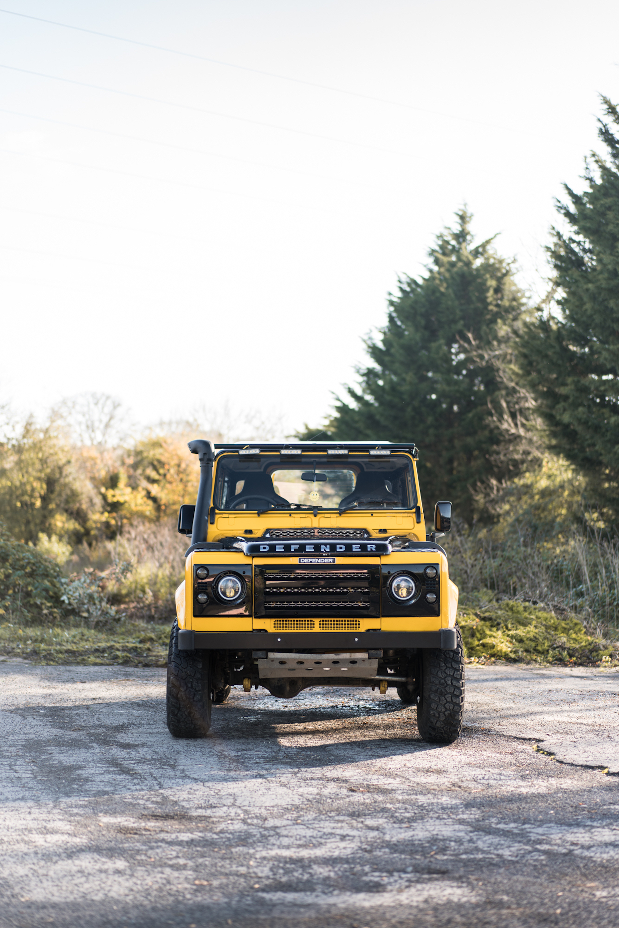 2001 LAND ROVER DEFENDER 90 - CUSTOM for sale by auction in Somerset ...