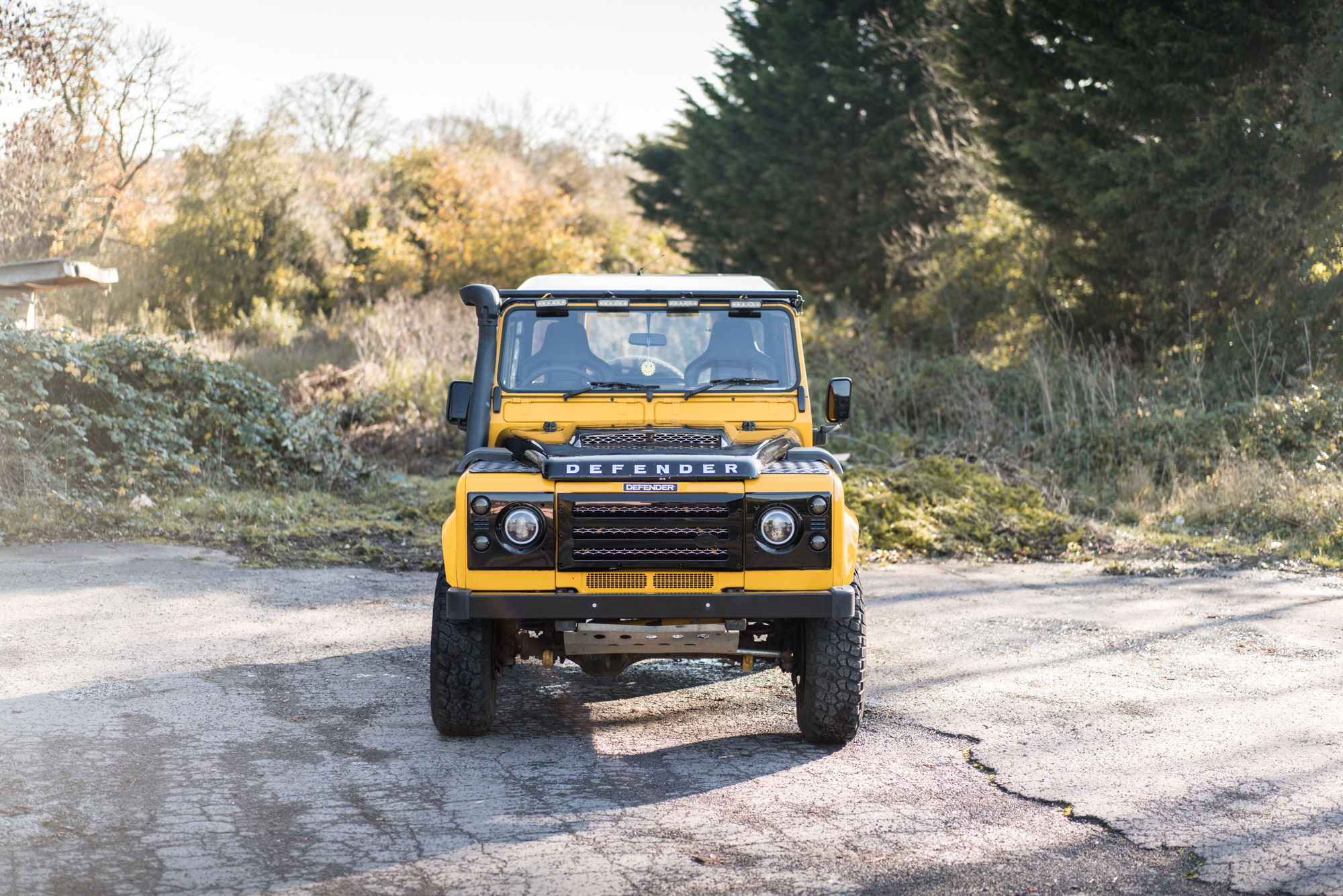 2001 LAND ROVER DEFENDER 90 - CUSTOM for sale by auction in Somerset ...
